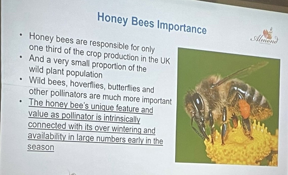 Bee keeping | KUZEY KIBRIS TÜRK - İNGİLİZ DERNEĞİ